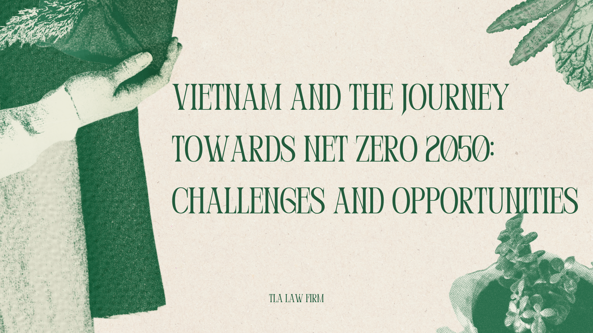 Vietnam and the Journey Towards Net Zero 2050: Challenges and Opportunities - TLA LAW FIRM